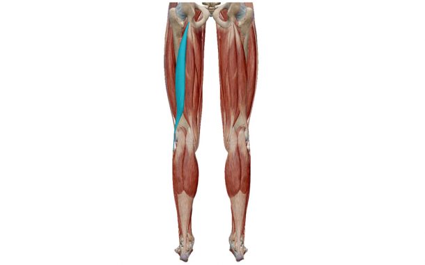 kétfejű combizom combhajlító nyújtás - Funkcionális jóga és gerinctorna ...
